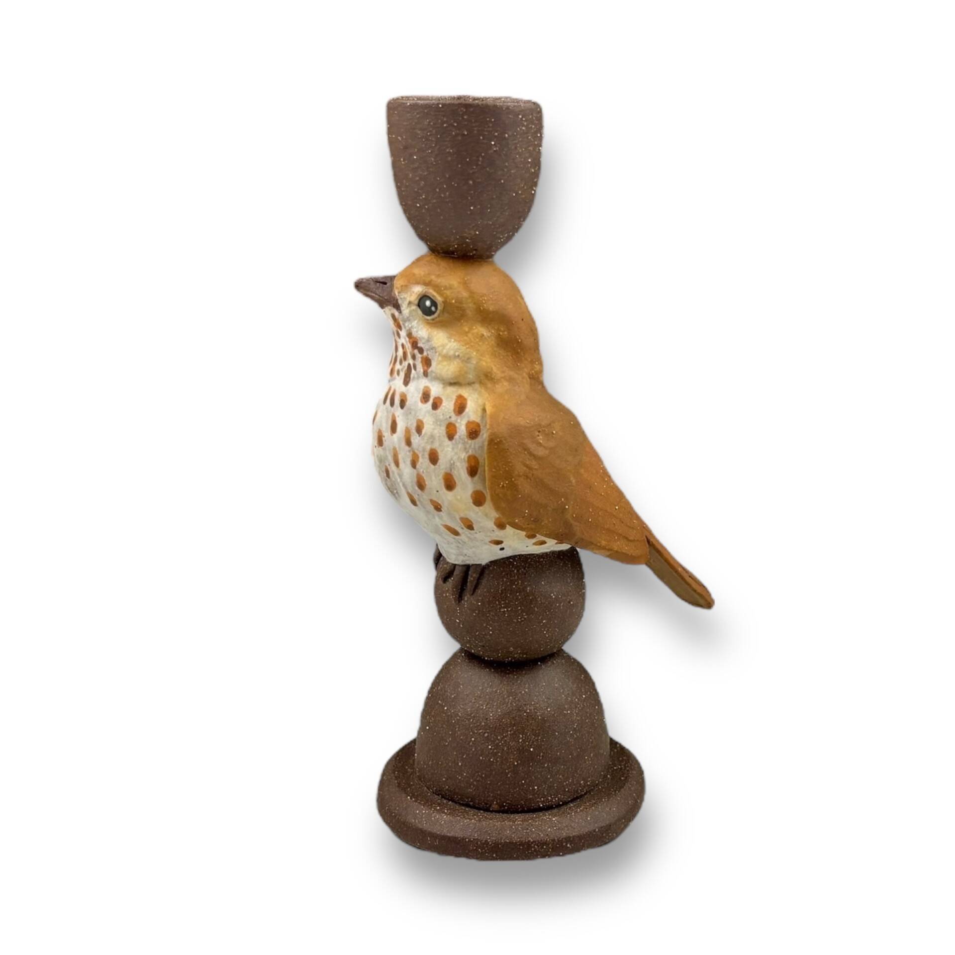 Special Feature | Good Earth Pottery